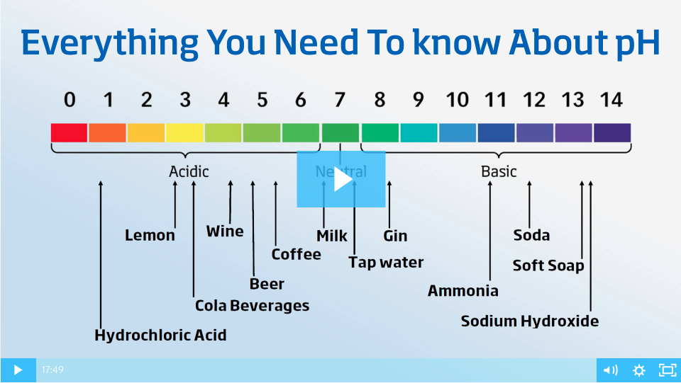 Filtered or Unfiltered, You Need to Measure Beer Turbidity -- ThankYou